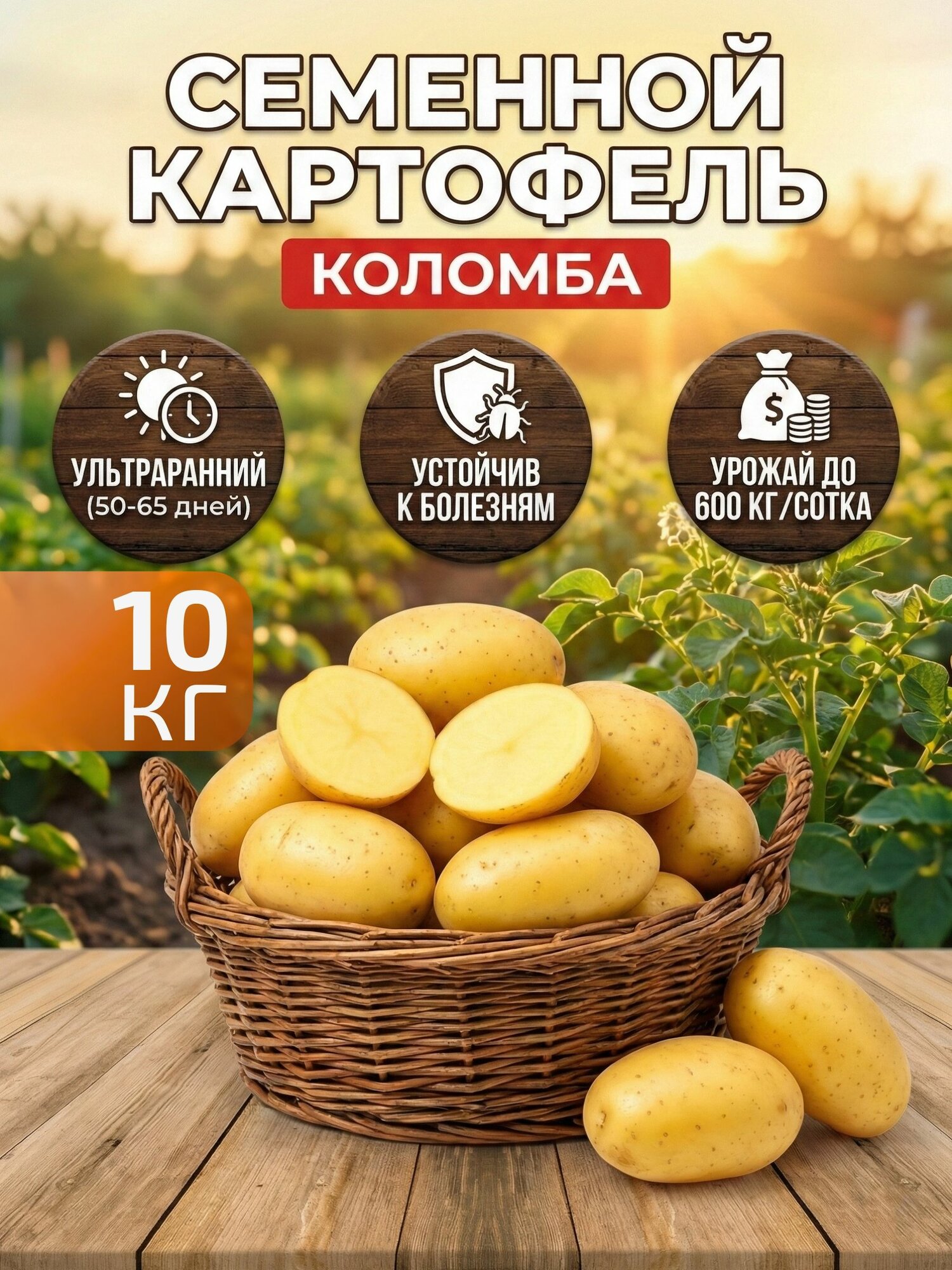 Картофель семенной Коломба 10 кг клубни на посадку ранний скороспелый сорт для варки, пюре, запекания