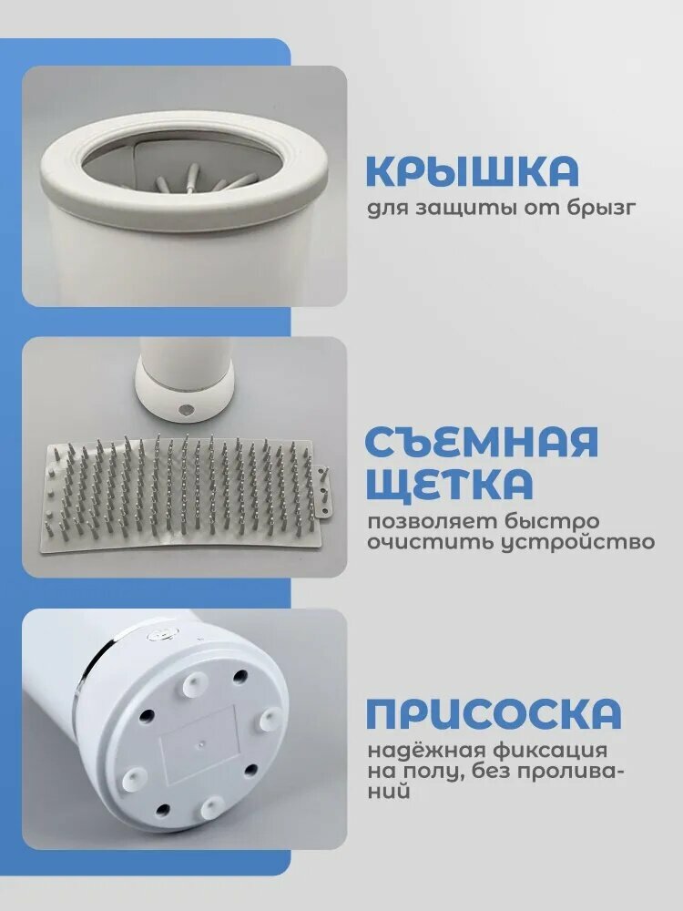 Лапомойка — фото 1