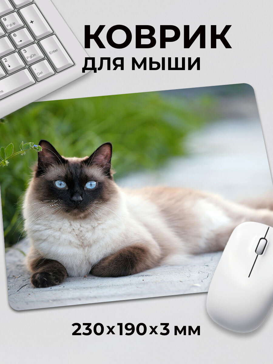 Коврик для мышки игровой маленький на стол Сиамский кот c тканевой поверхностью, на нескользящем резиновом основании