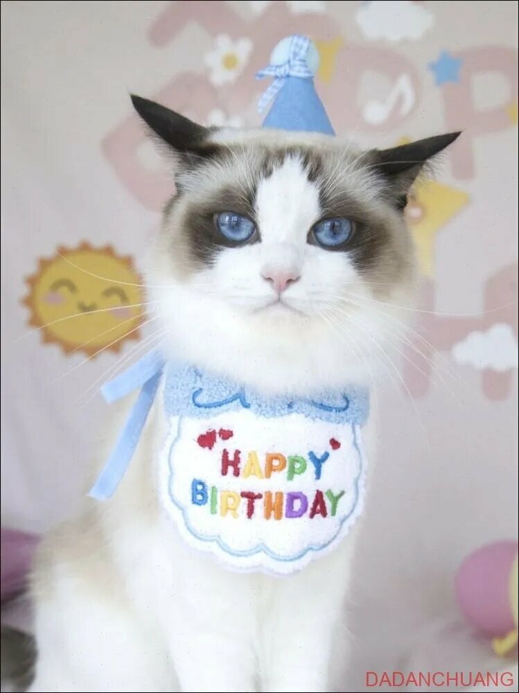 Ошейник и колпак праздничный костюм на День Рождения кота и собаки