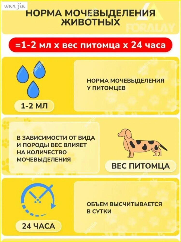 Подгузники для животных — фото 1