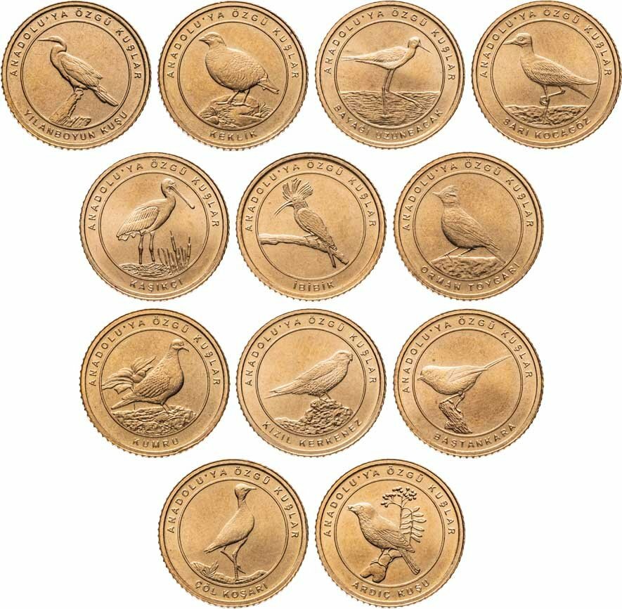 Турция набор из 12 монет 1 куруш 2021 Фауна - Птицы, Бронза, в сохранности UNC