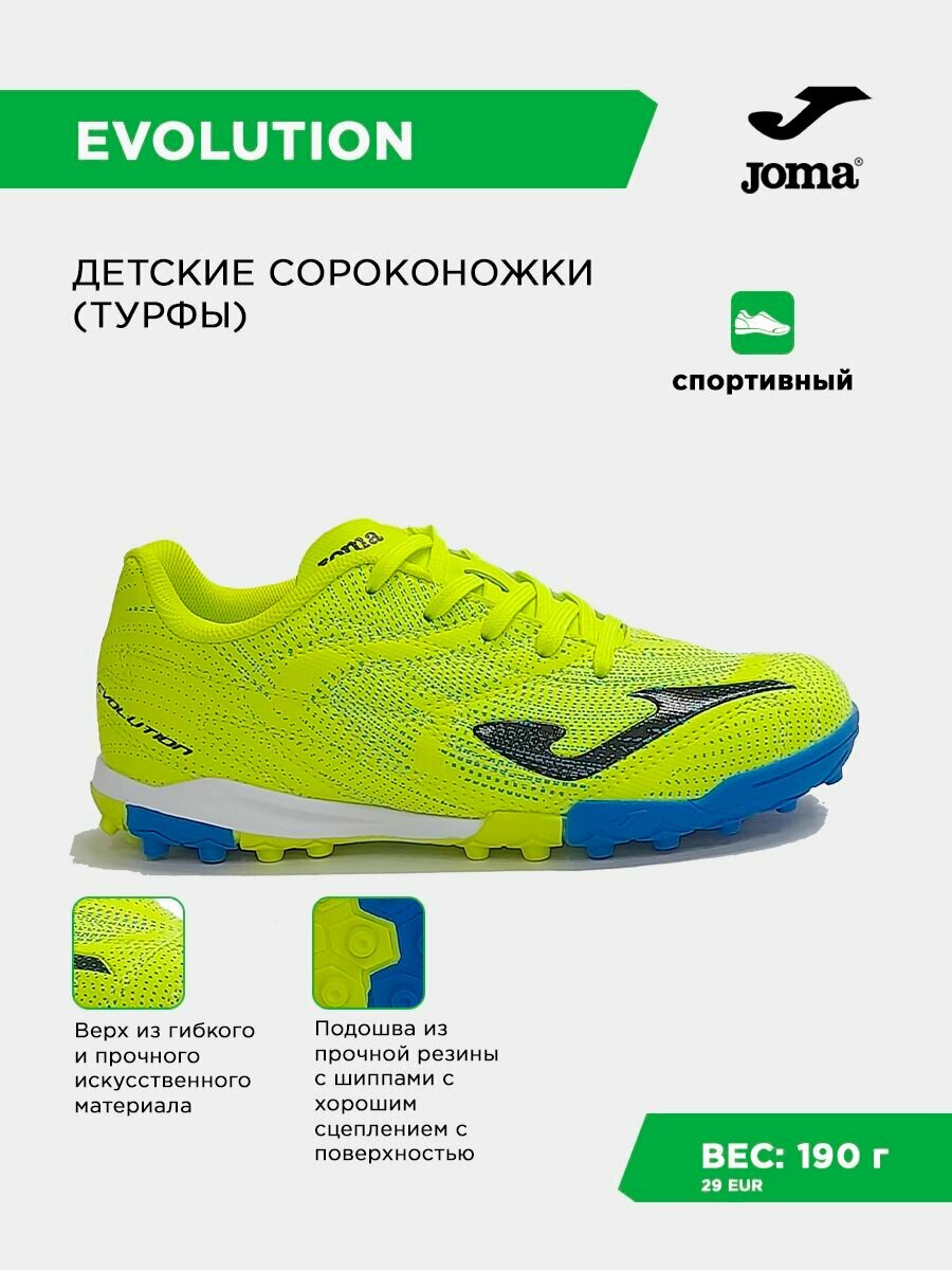 Сороконожки