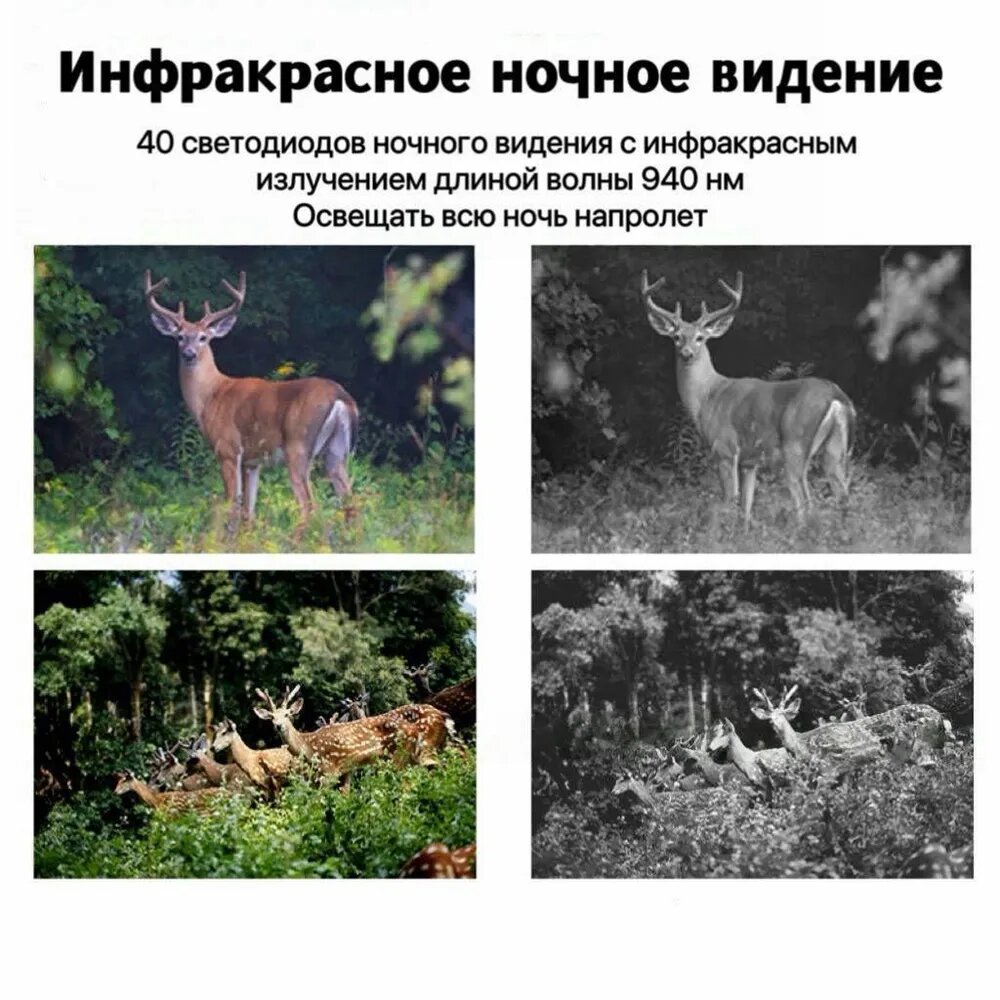 Фотоловушка для охоты и наблюдения, с ночным видением, дальность ИК-подсветки 10 м, цвет хаки — фото 1