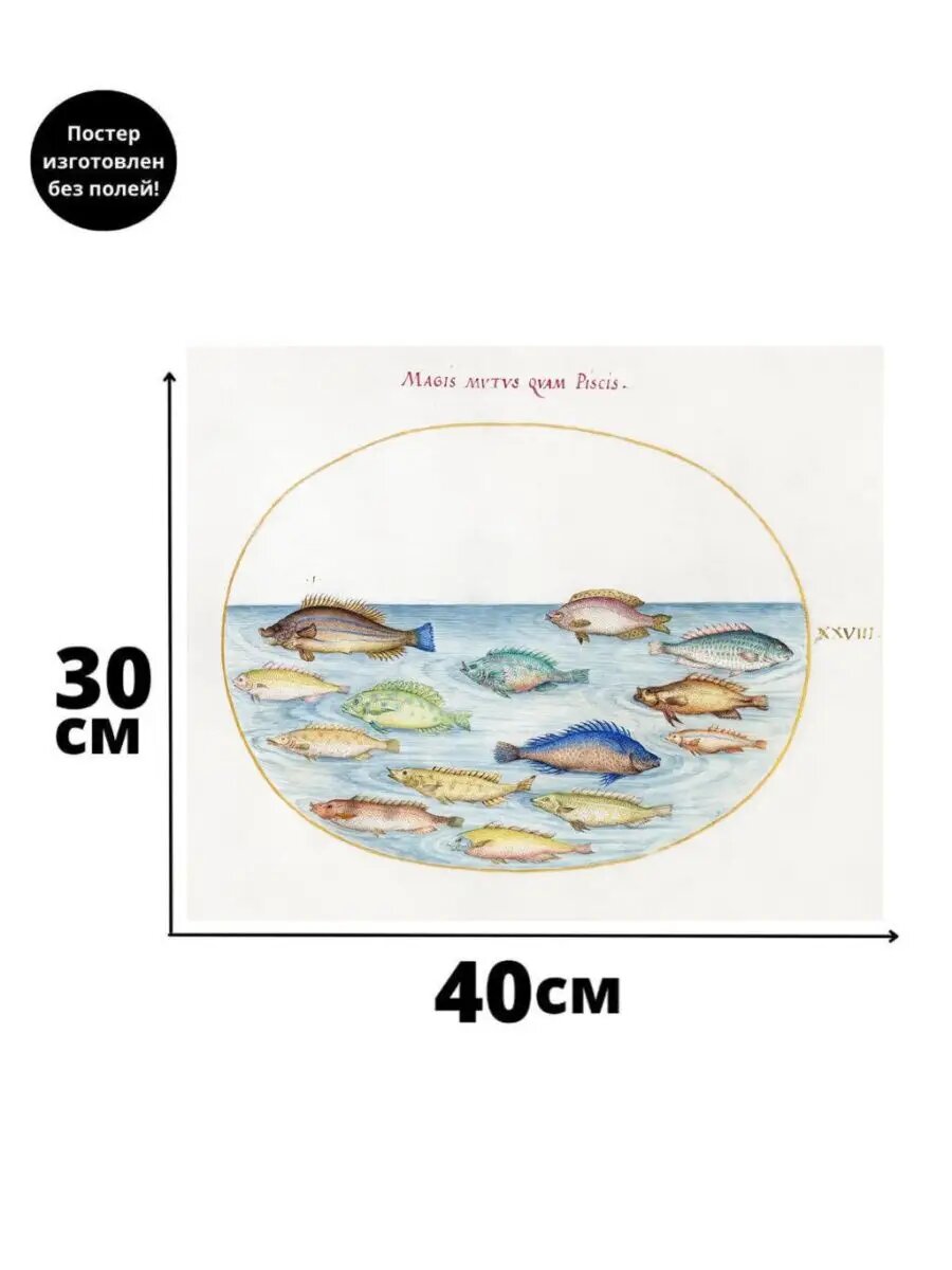 Постер в морском стиле ретро рисунок, 40 x 30 см, бумага, без рамы