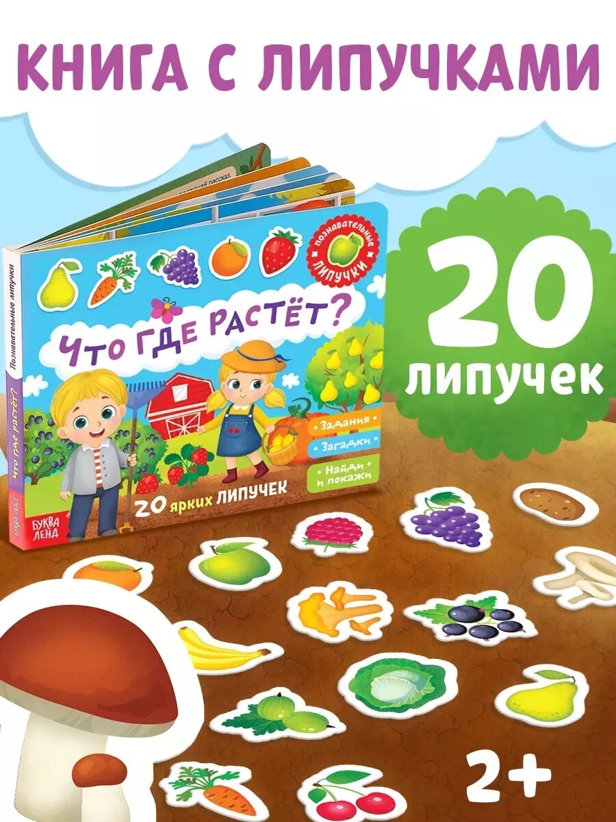 Книжка с липучками "Что где растёт?" детская, 20 карточек, буква-ленд