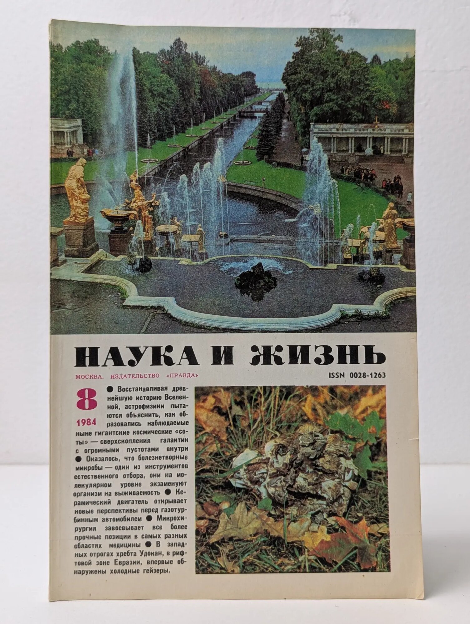 Наука и жизнь. Выпуск №8/1984 Сборник 1984