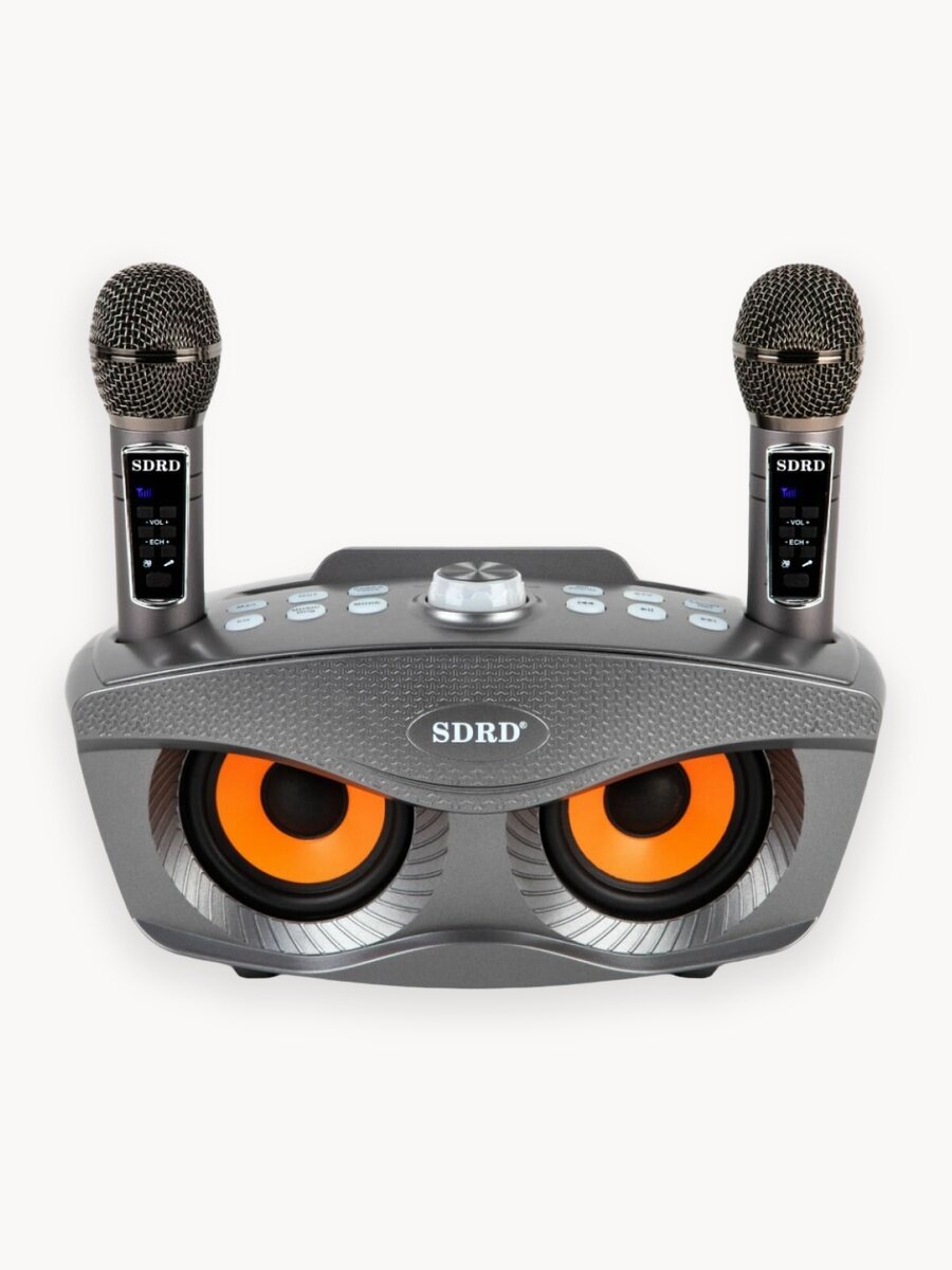Караоке система беспроводная с двумя микрофонами SDRD SD-306 Plus Серый-DKD-LD0831