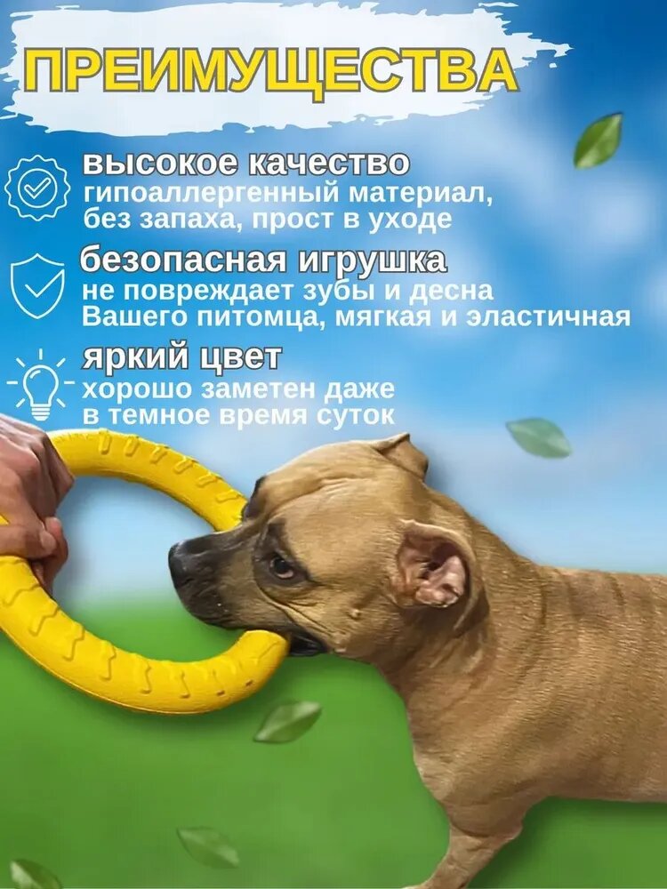 Игровое кольцо для собак диаметром 30 см. Легкий, прочный и нетоксичный. Только для использования в помещении.