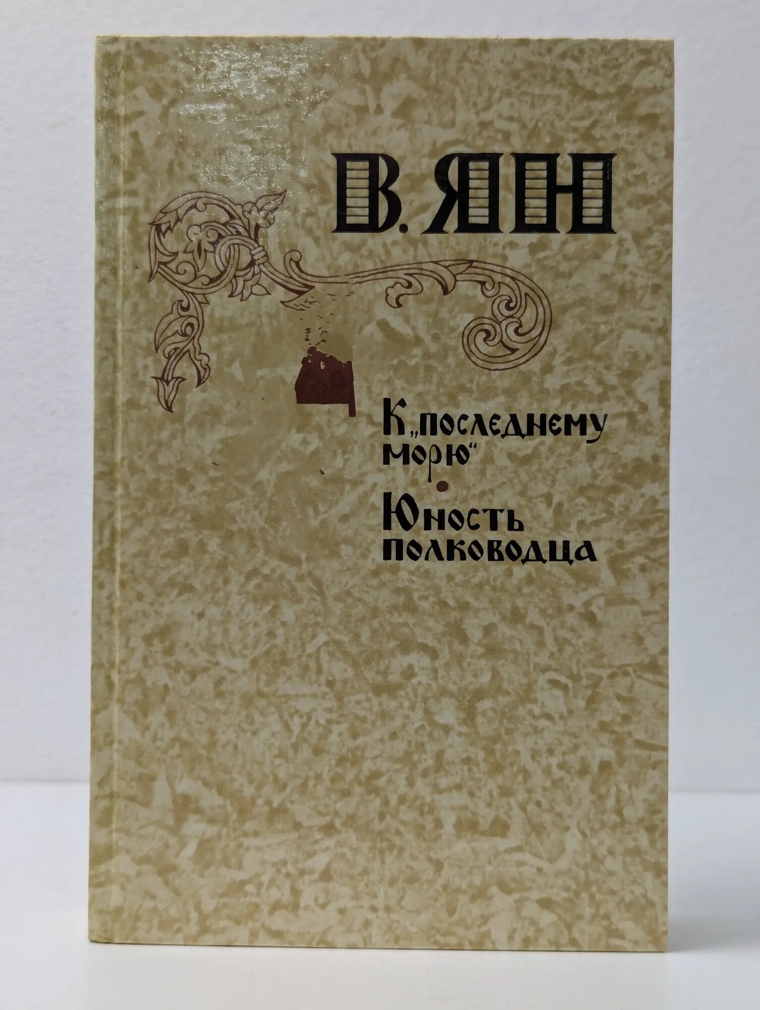 К последнему морю. Юность полководца Ян Василий Григорьевич 1981