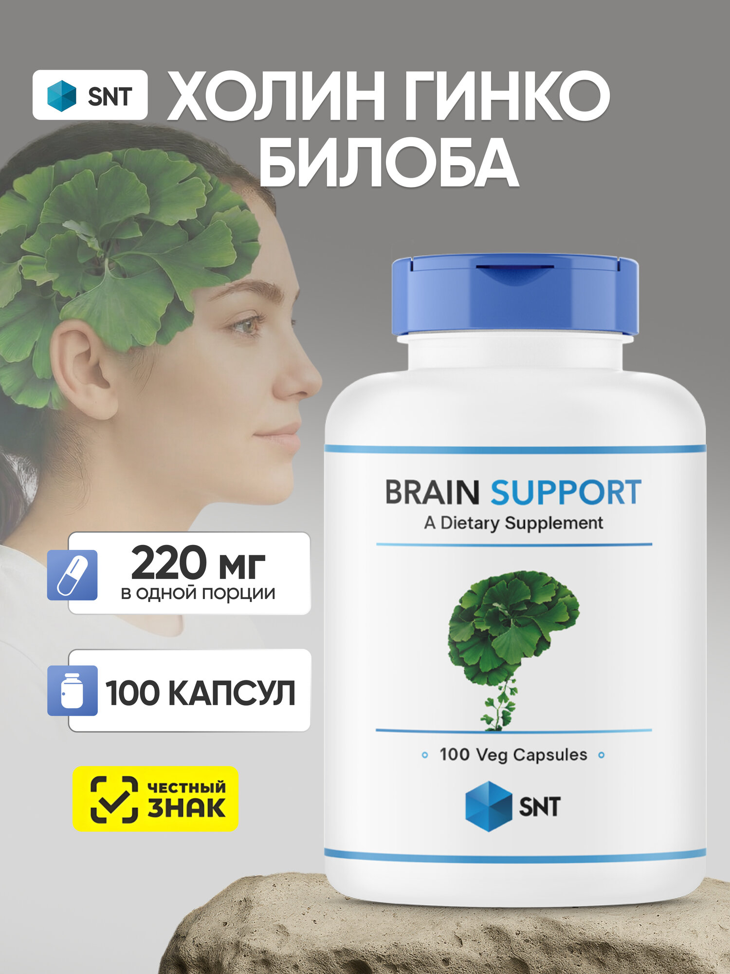 Добавка SNT Brain Support, гинкго билоба, для мозга, 100 капсул