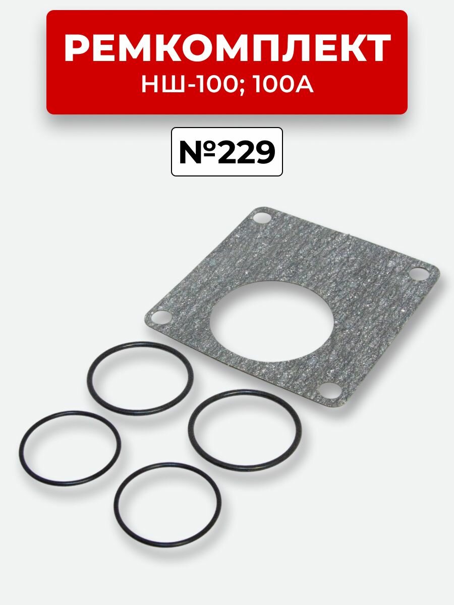 Ремкомплект НШ-100;100А №229