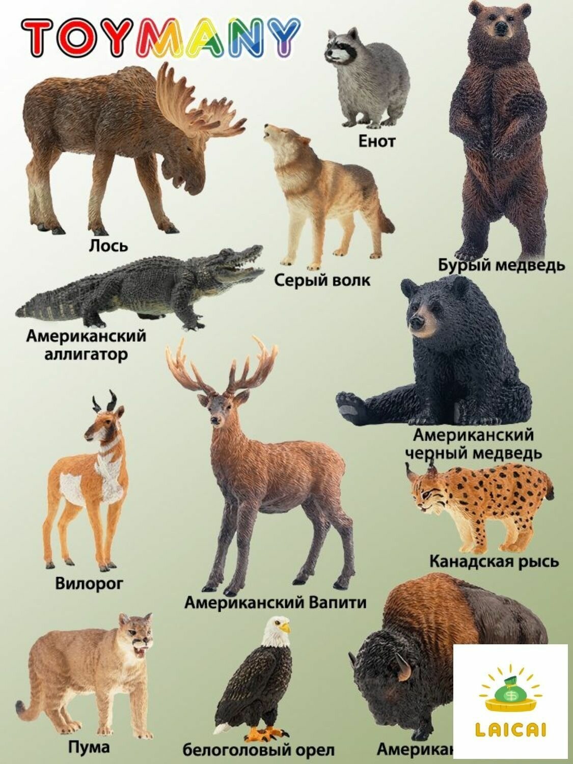 Toymany Набор фигурок диких животных, 12шт, Североамериканское лесное животное, Подарок и коллекция