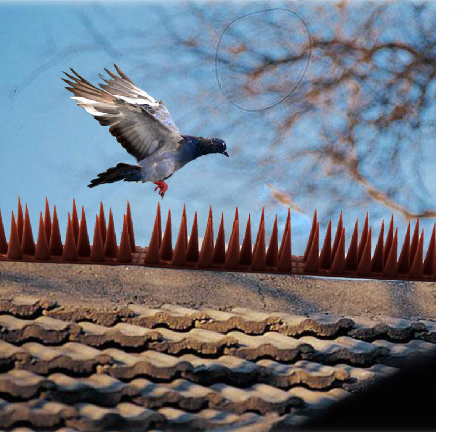 Противоприсадные пластиковые шипы MyPads высокие 5.4 метра для защиты от птиц и животных коричневые