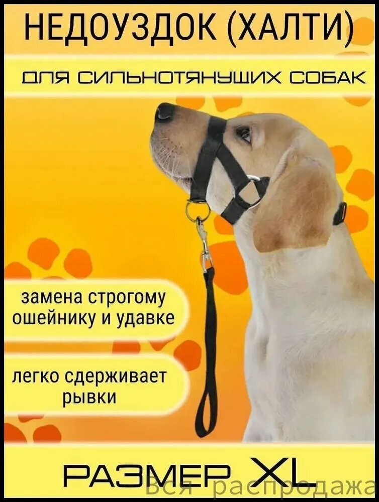 Недоуздок для собак крупных, средних, мелких пород / Намордник халти