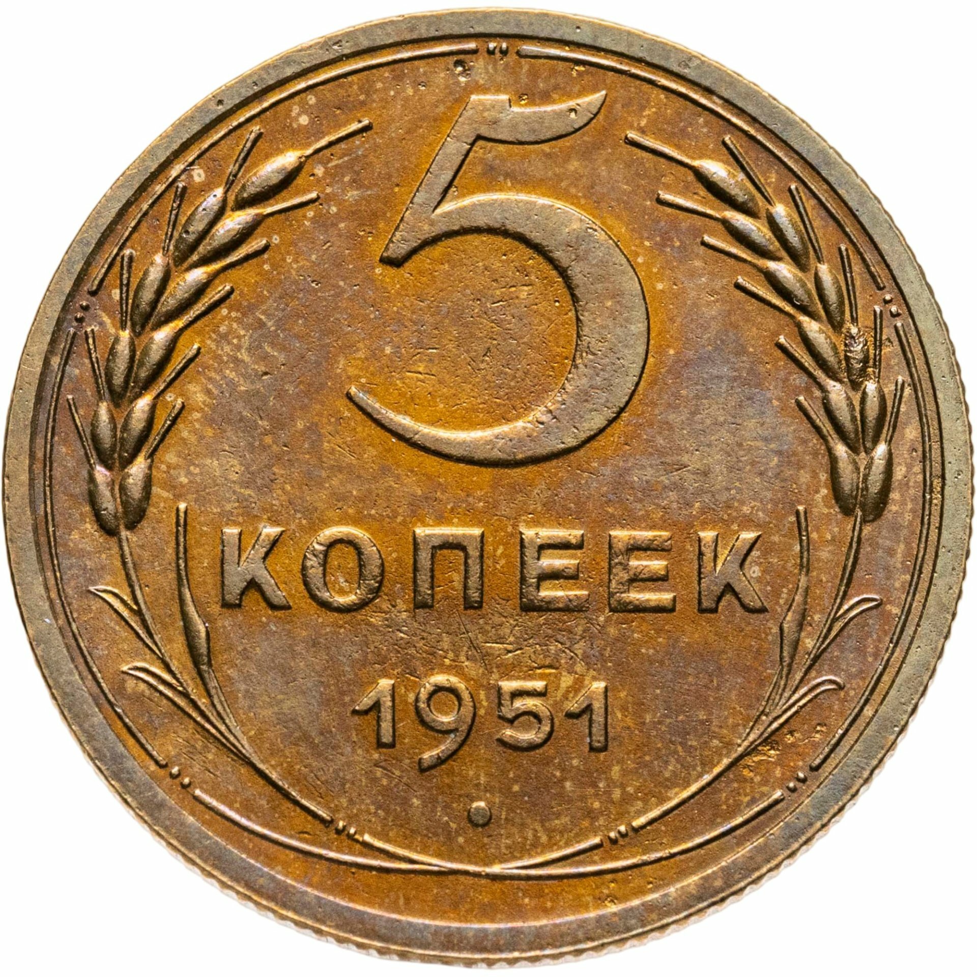 5 копеек 1951, Бронза, в сохранности XF