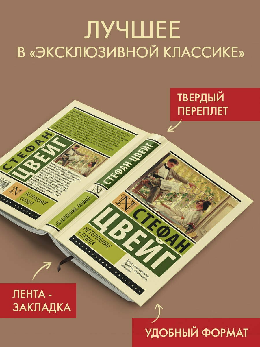 Нетерпение сердца — фото 1