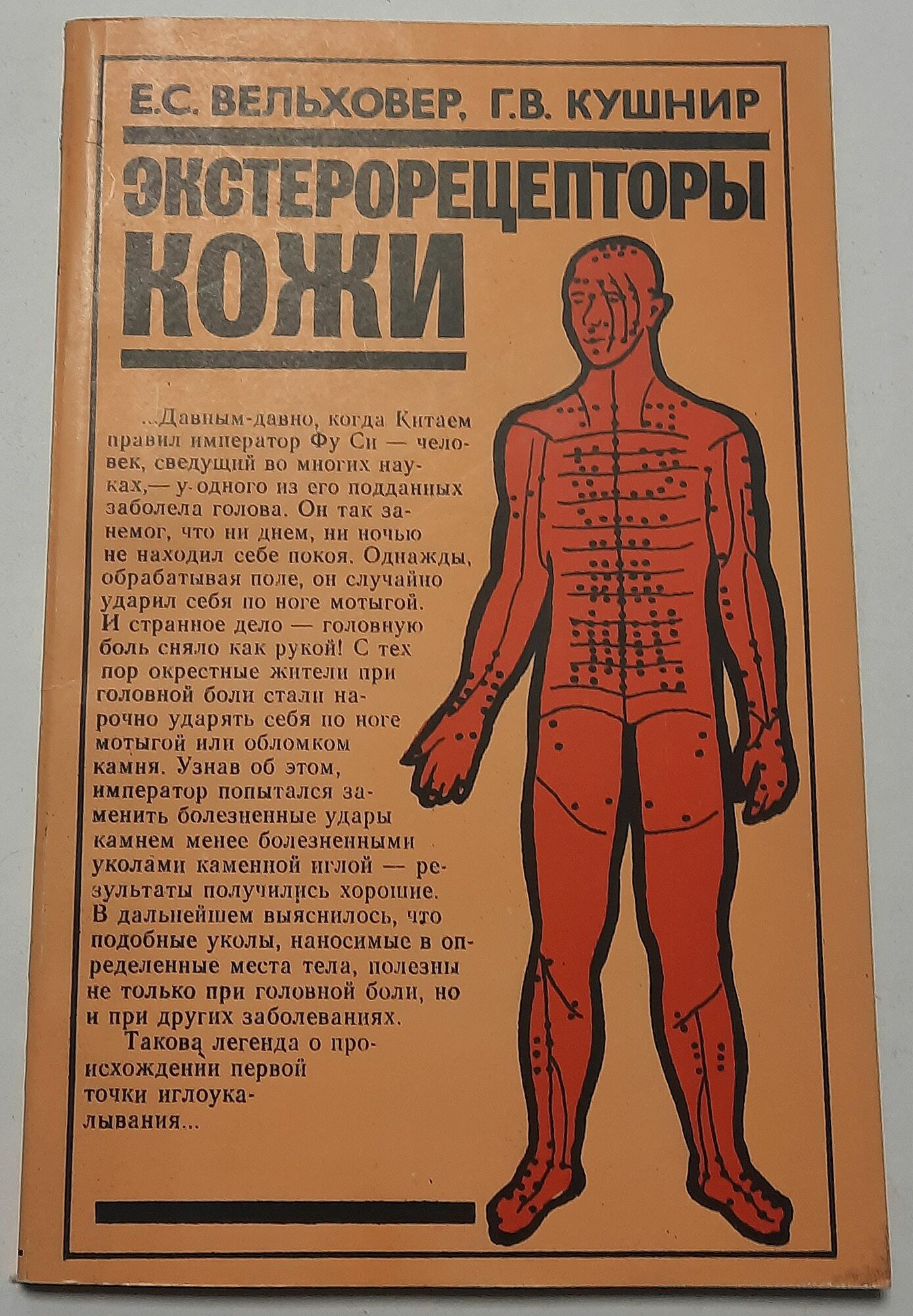 Экстерорецепторы кожи