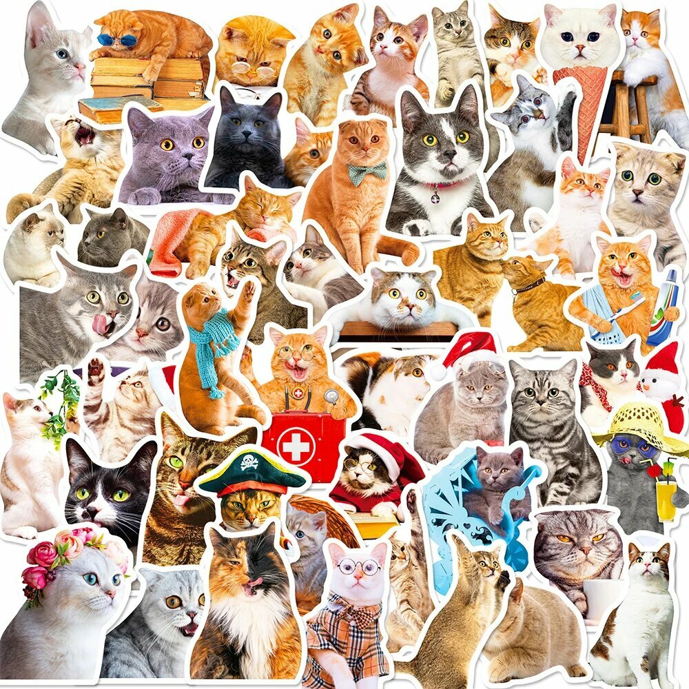 Набор наклеек с котиками-мемами Rspctou 10PCS