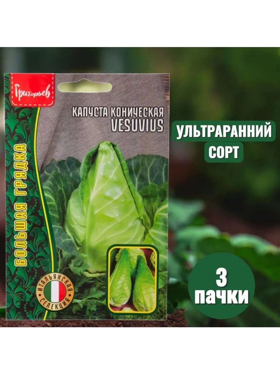 Капуста Итальянская коническая Vesuvius 0,2г (3шт)