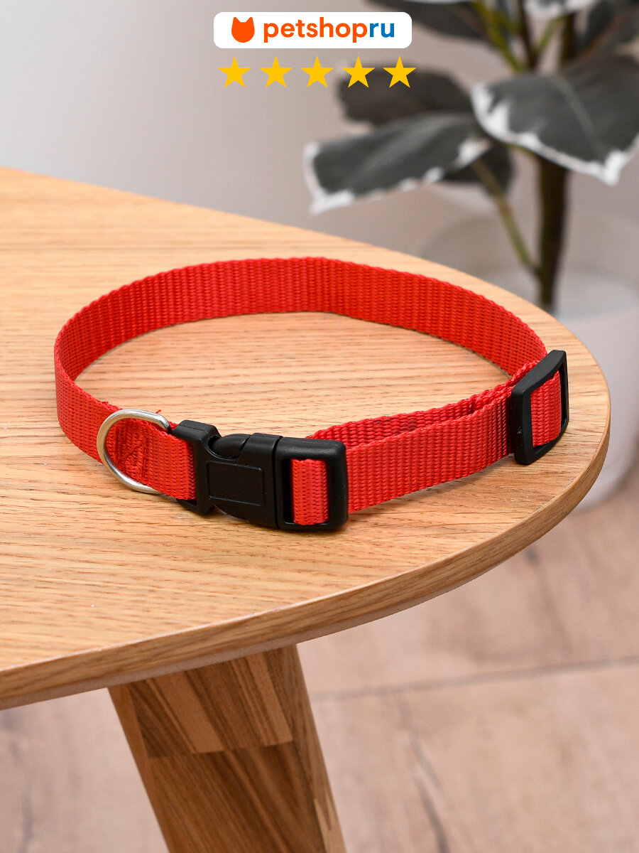 PETSHOP Ошейник для собак "Бизи", 25-40*1,5 см, красный