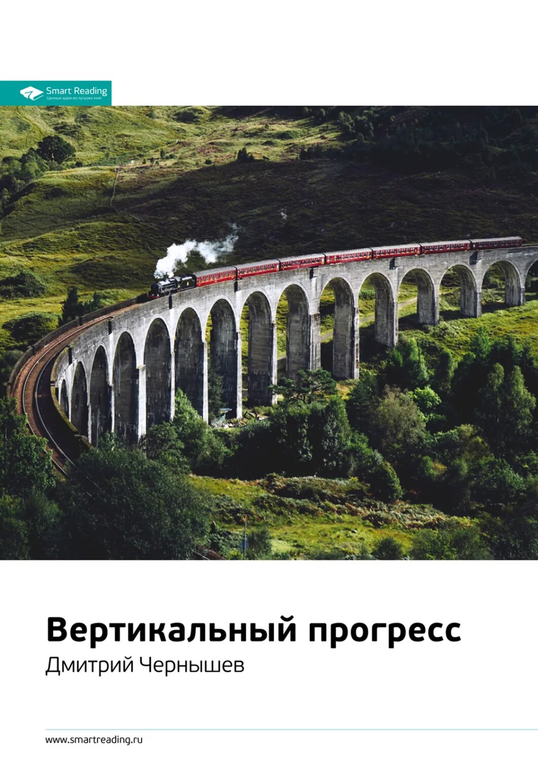 Ключевые идеи книги: Вертикальный прогресс. Дмитрий Чернышев [Цифровая книга]