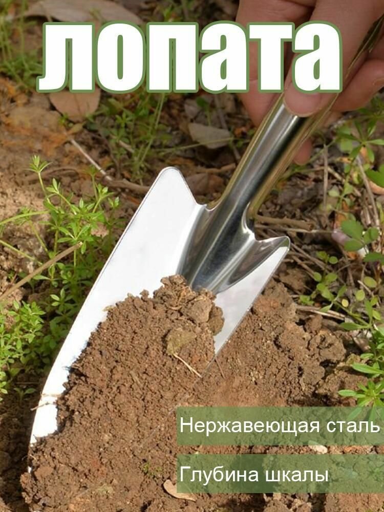Совок садовый, Нержавеющая сталь
