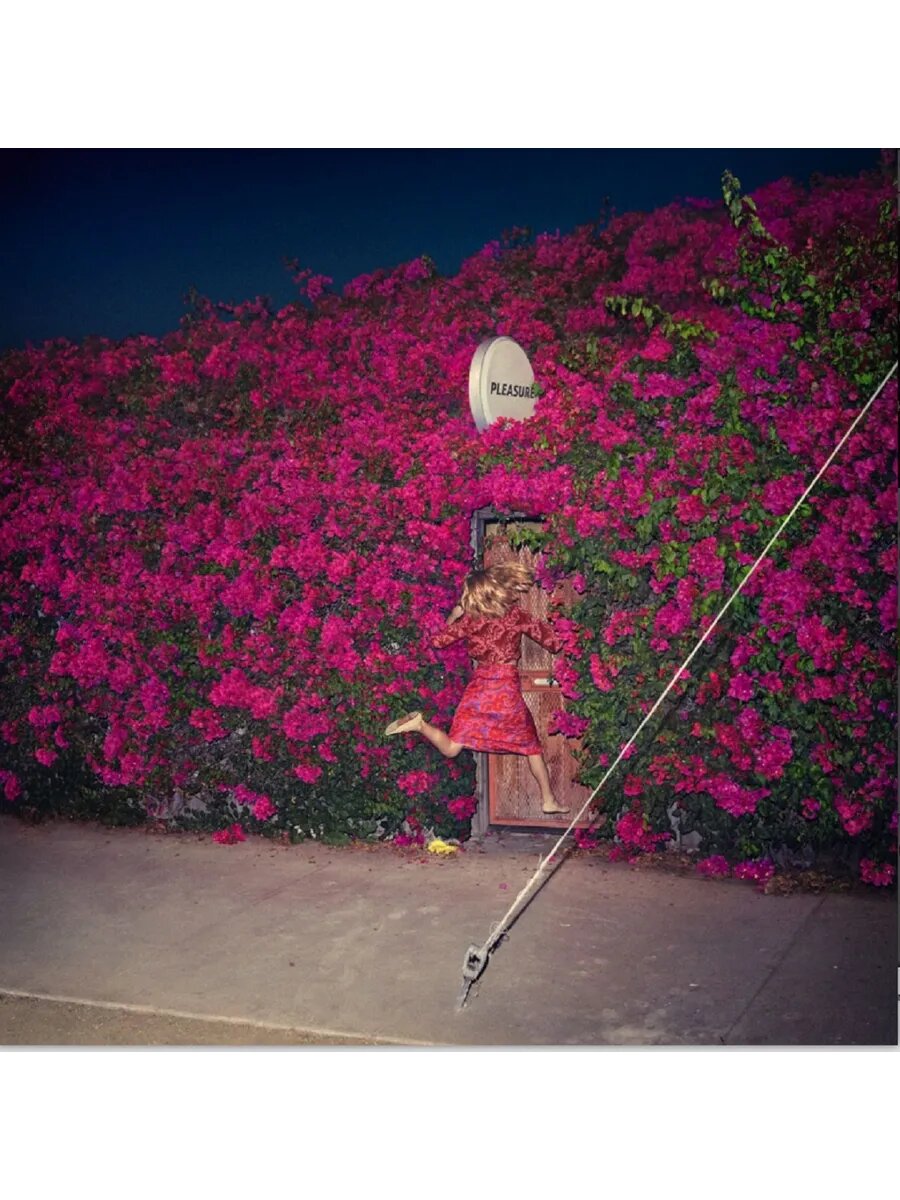 Feist - Pleasure 2LP Виниловая пластинка Universal 2017
