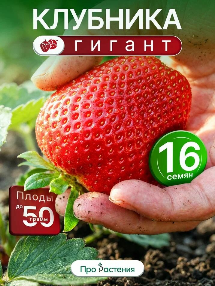 Семена Клубника Гигантская 11 штук отборные круглогодичные Про Растения