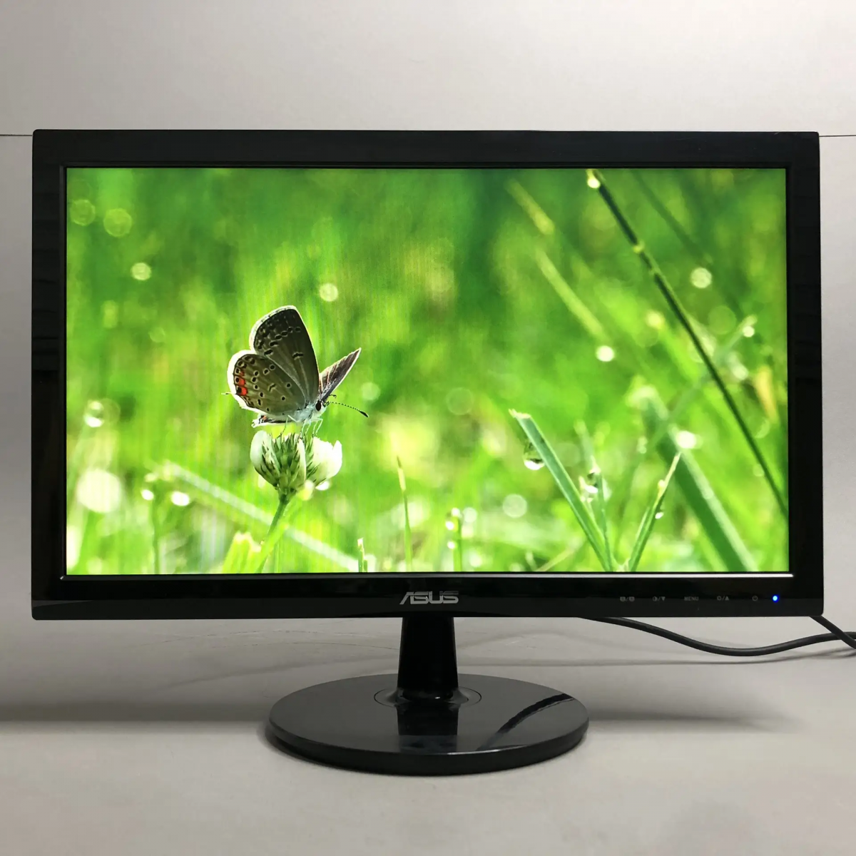 18.5" Монитор ASUS VS197DE, 1366x768, TN, 75Гц, черный