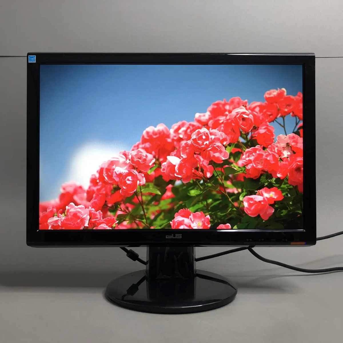 19" Монитор ASUS VH198S, 1440x900, TN+film, черный