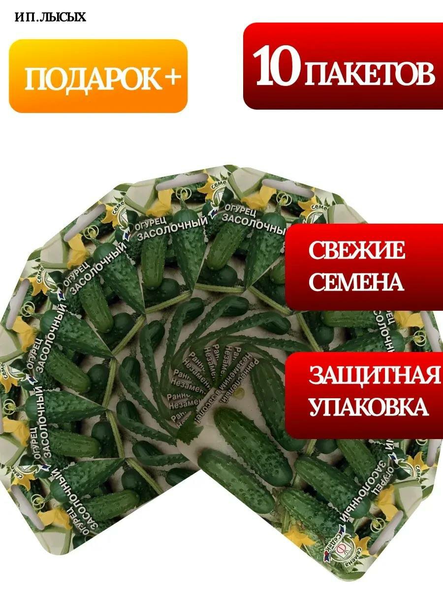 Семена Огурец "Засолочный"