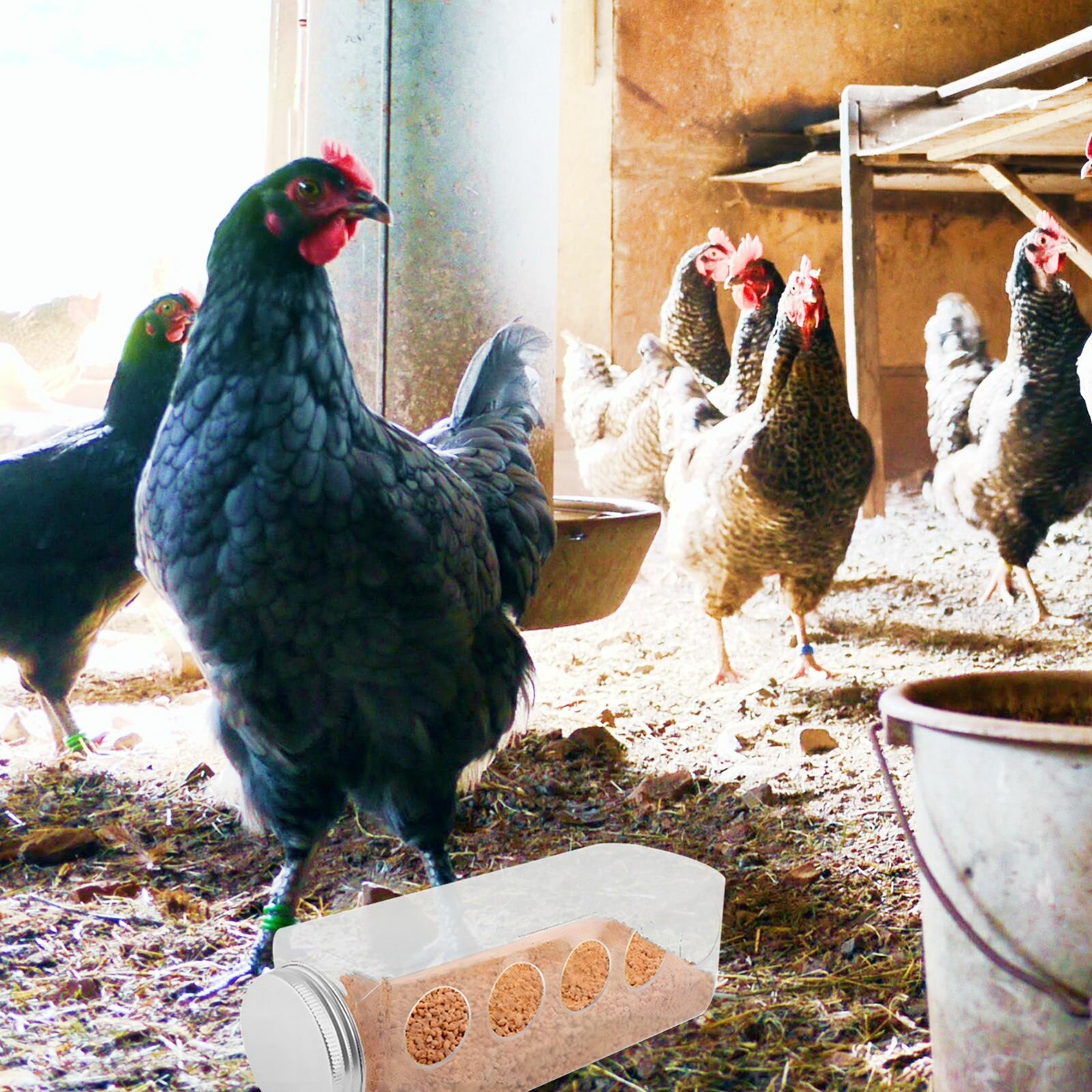 Автоматическая пластиковая кормушка для кур, прозрачная, для удобного кормления мелких домашних животных