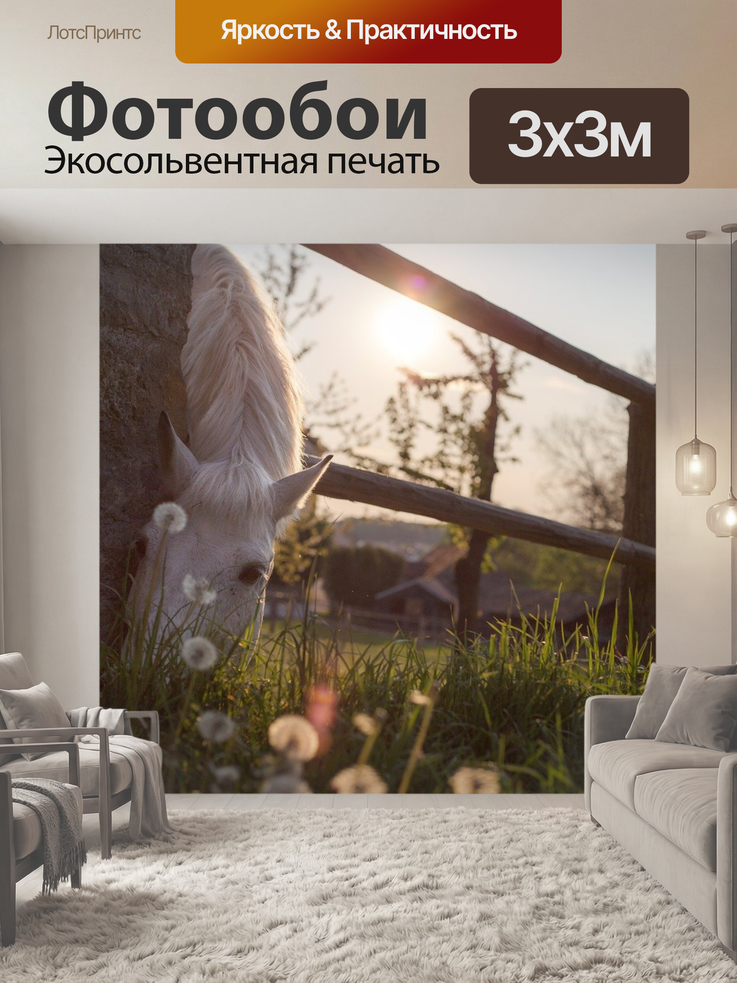 Фотообои "Лошадь, пастись, загон" 300x300 см. экосольвентная печать