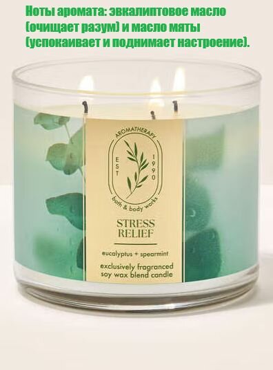 Bath and Body Works свеча ароматическая с 3-мя фитилями Eucalyptus Spearmint (411 грамм)