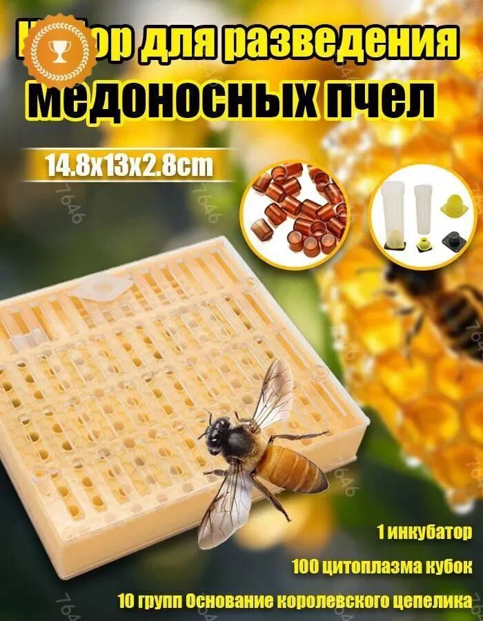 GM Набор для вывода маток/искусственный вывод маток для медоносных пчел 14.8x13x2.8cm