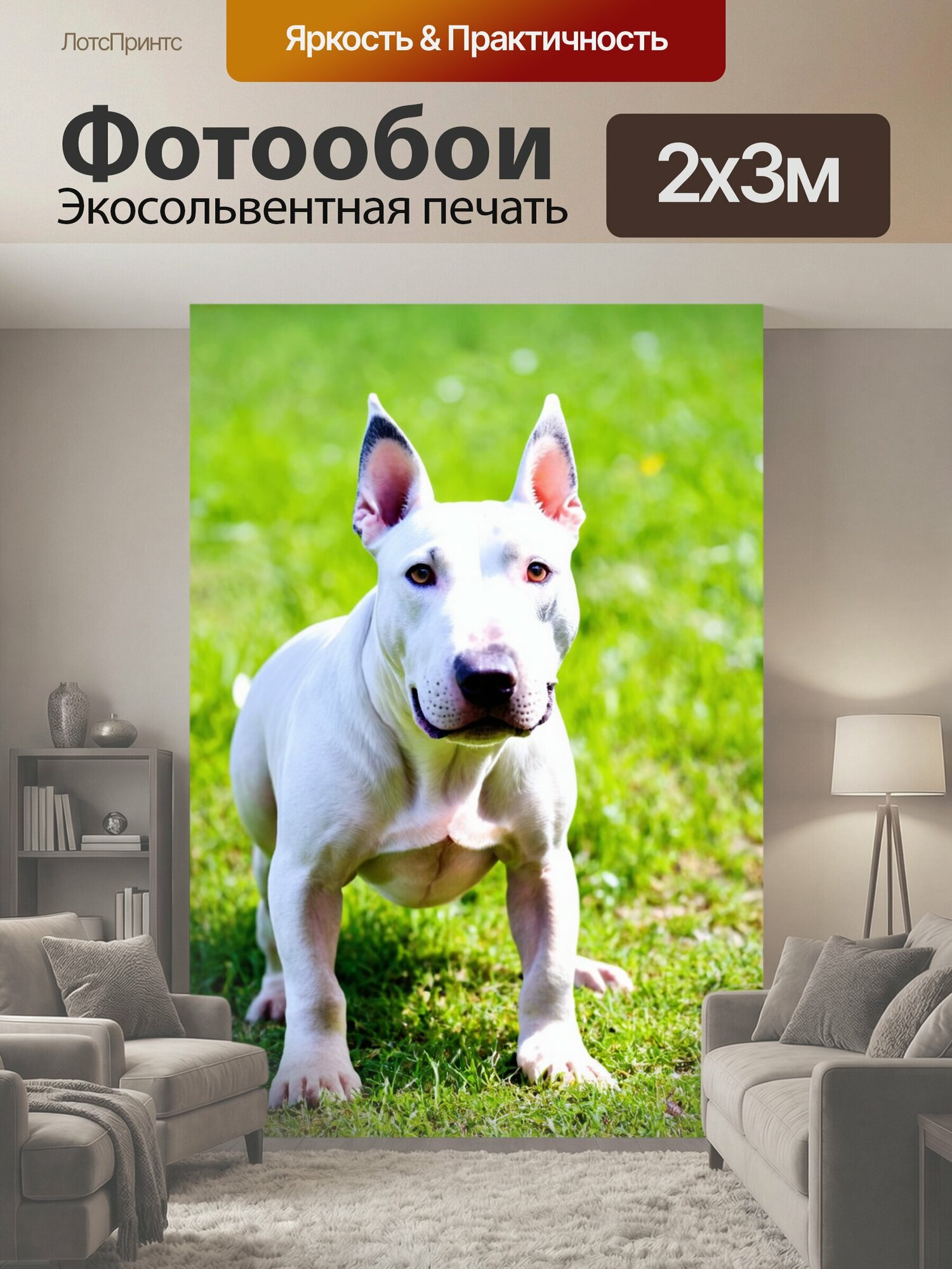 Фотообои "Собака бультерьер, с забавным выражением, исследующая новый парк" 200x300 см. экосольвентная печать