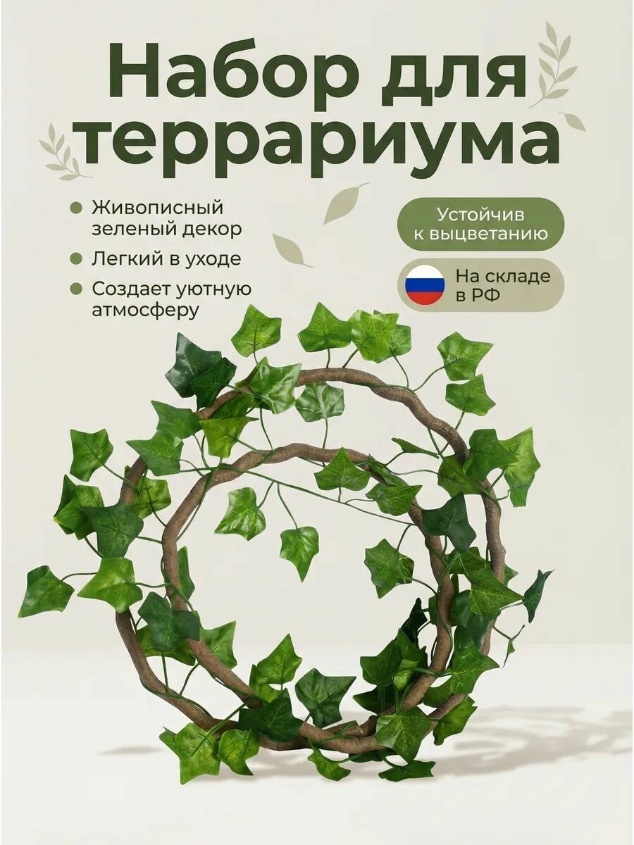 Набор для террариума