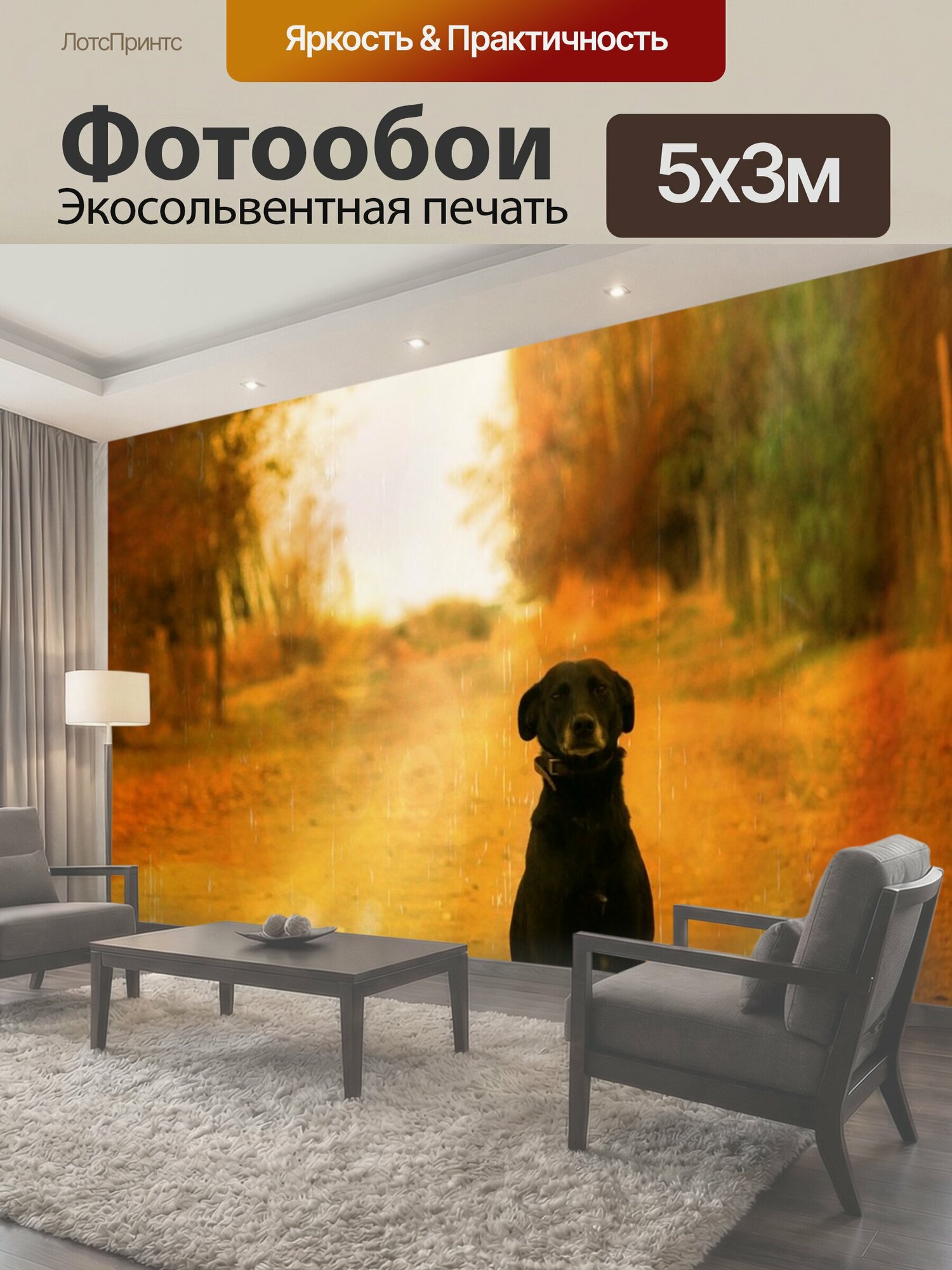 Фотообои "Собака, одинокий, уединенный" 500x300 см. экосольвентная печать