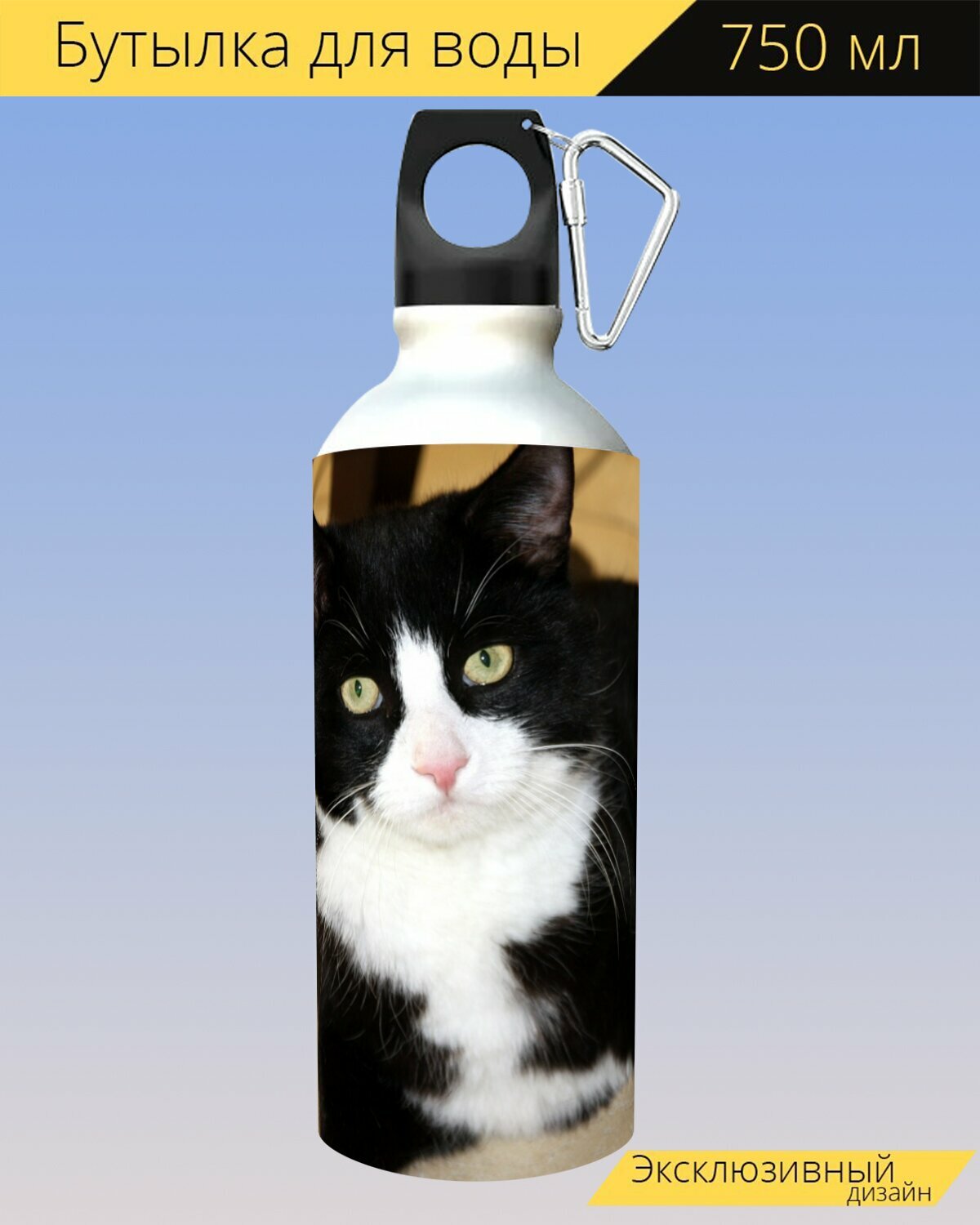 Бутылка фляга для воды "Кот, животное, домашнее животное" 750 мл. с карабином и принтом