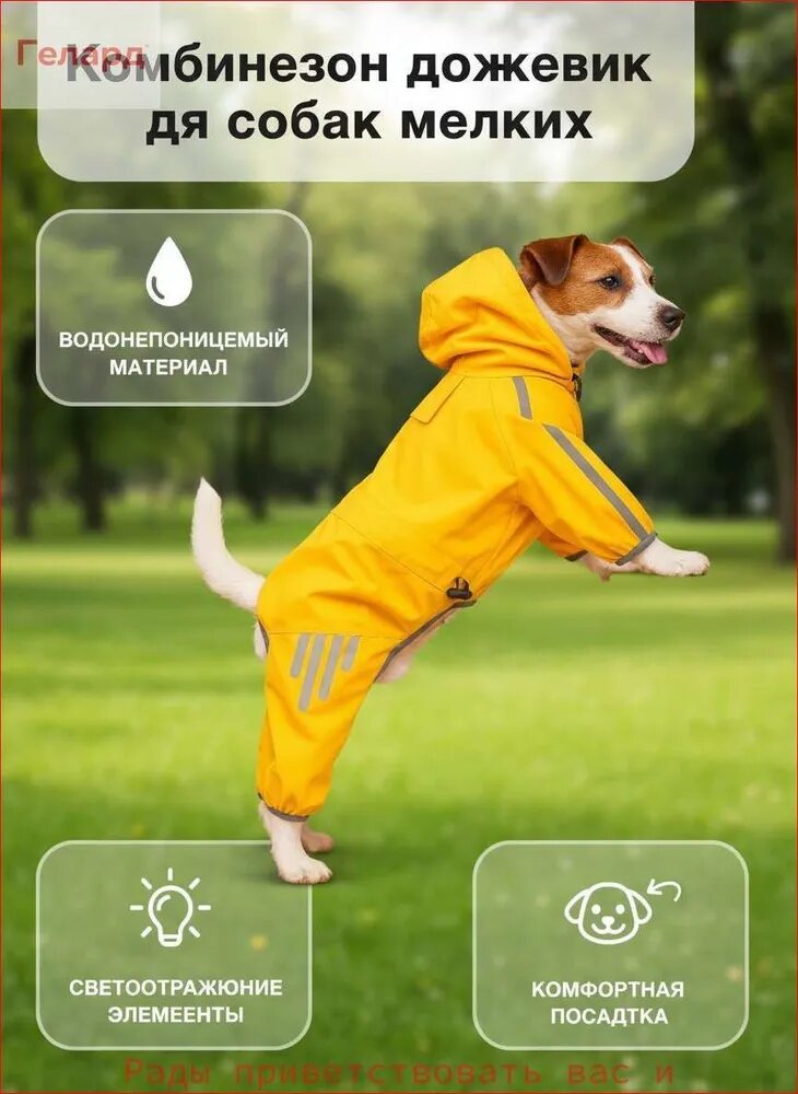 Комбинезон дождевик для собак мелких пород йорк чихуахуа той терьер шпиц желтый водоотталкивающий полиэстер на кнопках с поясом демисезон