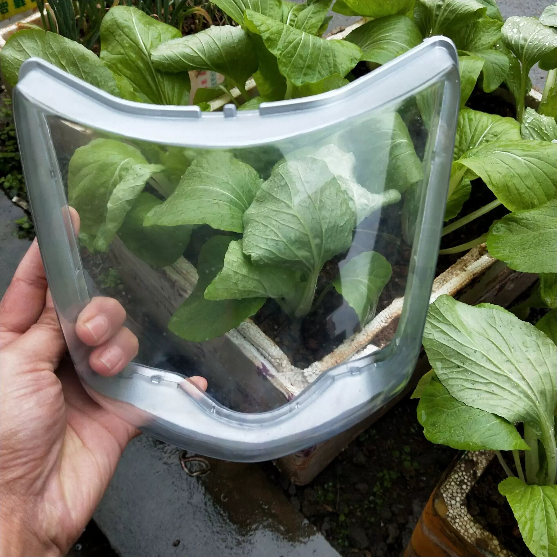 Подходит для мотоцикла Wuyang Honda, переднее крыло WH125-B-11, дефлектор, капот в сборе, абажур, корпус лампы Стекло