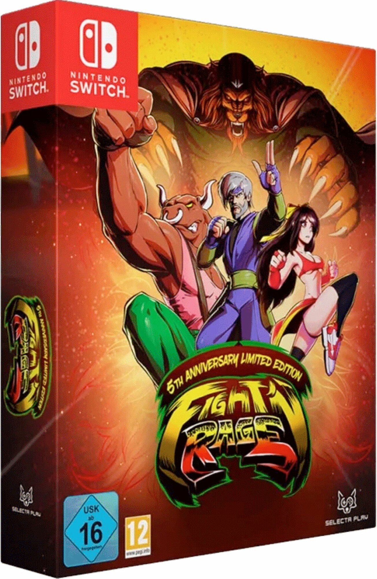 Fight'n Rage: 5th Anniversary Limited Edition (Игра на картридже) (Switch)