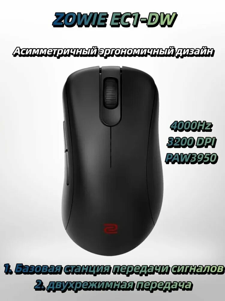 Zowie by BENQ Игровая мышь беспроводная EC1-DW, PAW3950, 4000Hz + 3200 DPI, Асимметричный эргономичный дизайн, Базовая станция передачи сигналов, двухрежимная передача, черный