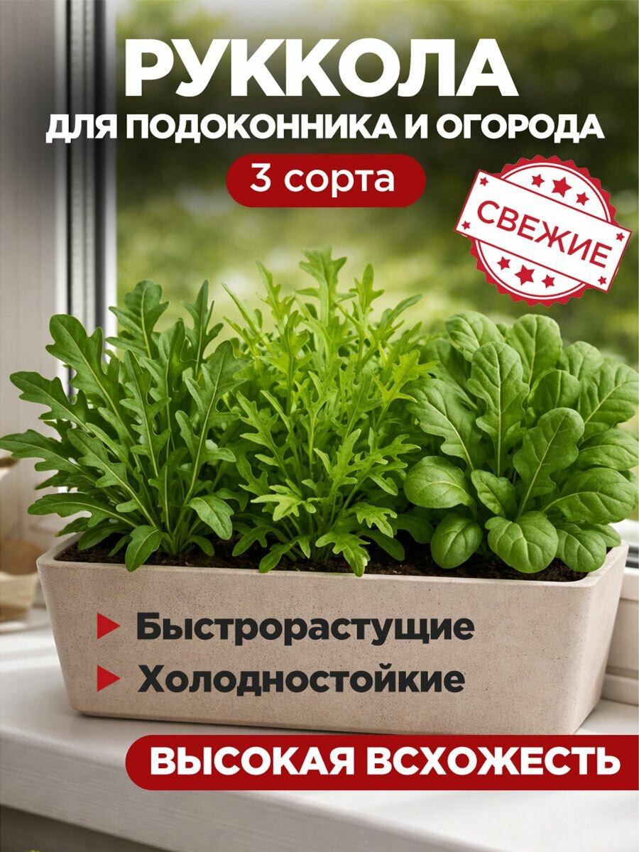 Семена рукколы для подоконника и огорода набор 3 сорта смесь сортов для посадки