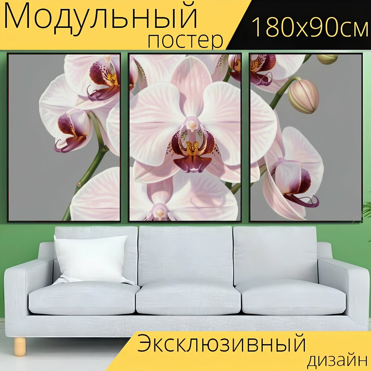 Модульный постер "Нежные орхидеи на сером фоне. Изящные цветы с крупными лепестками и бутонами в пастельно-розовых и белых оттенках." 180 x 90 см. для интерьера на стену в тубусе