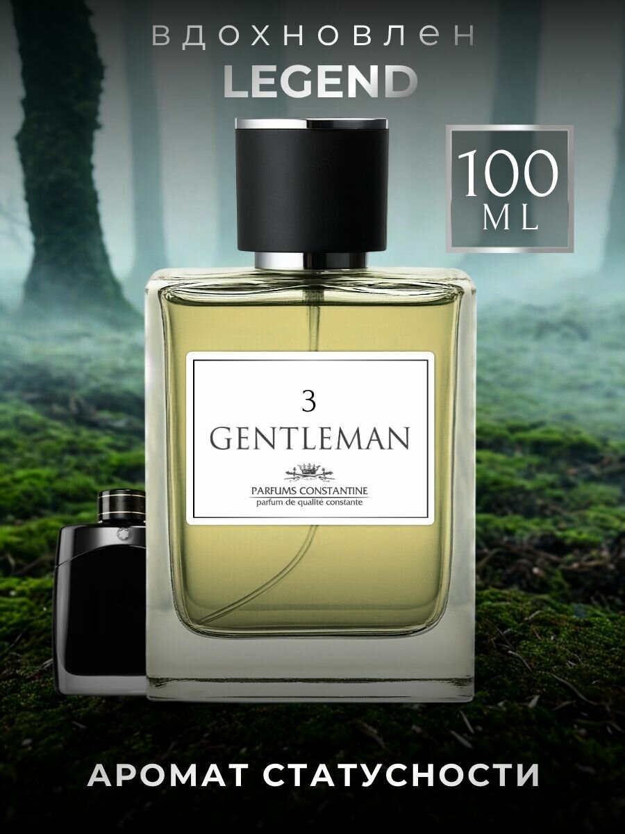 Духи мужские GENTLEMAN 3 древесный, сандал 100 мл
