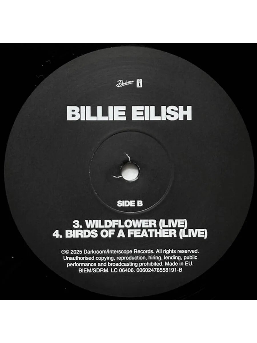 Billie Eilish-Live — фото 1