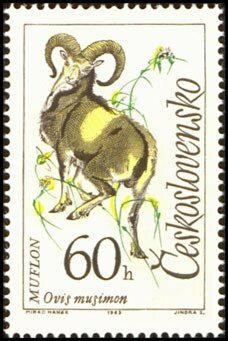 (1963-067) Марка Чехословакия "Муфлон " Животные III