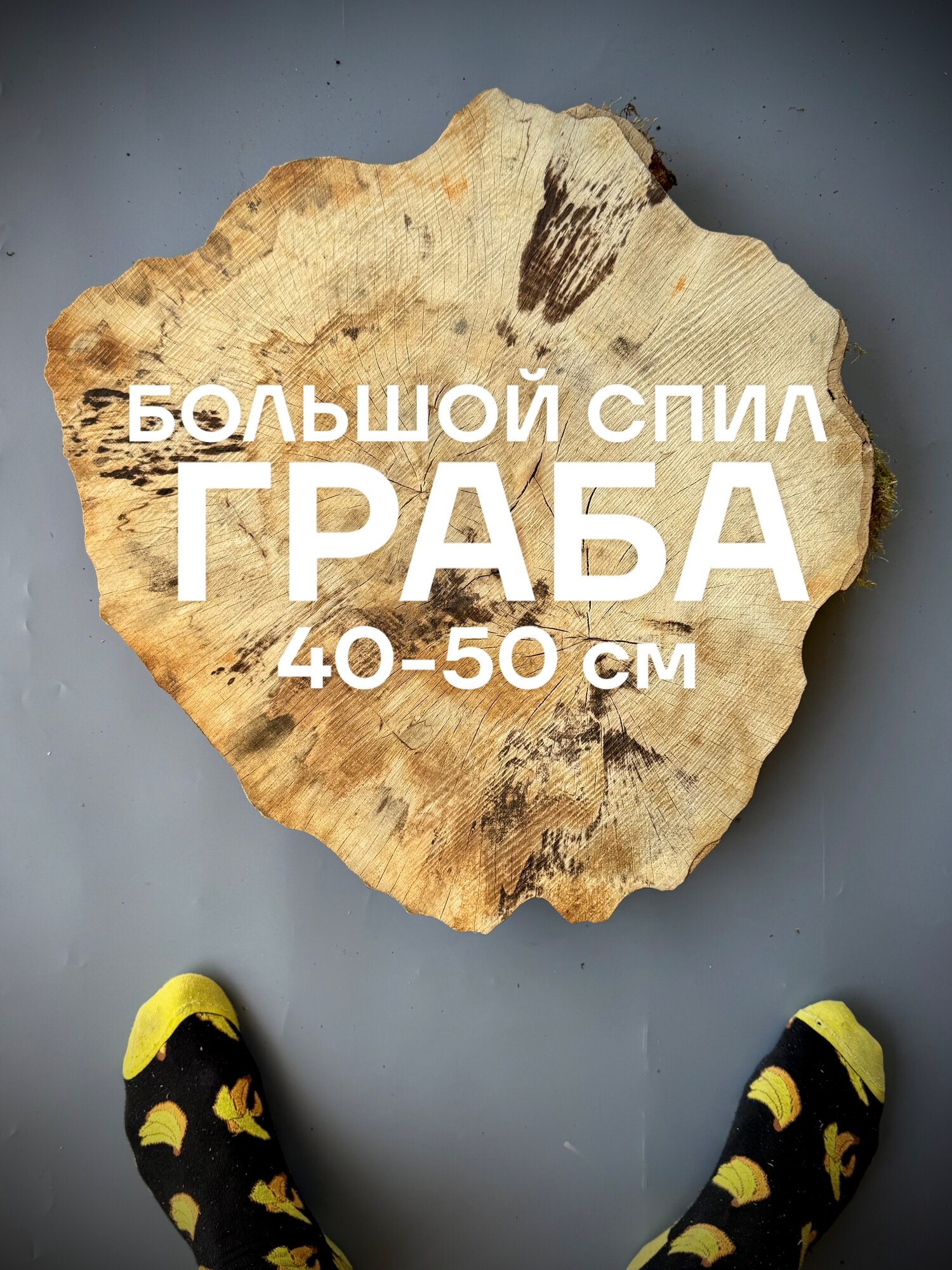 Спил Граба, диаметр 40-50 см, толщина 7-9 см, 1шт